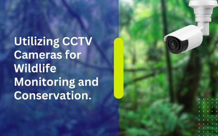 Utilizing CCTV Cameras for Wildlife Monitoring and Conservation.