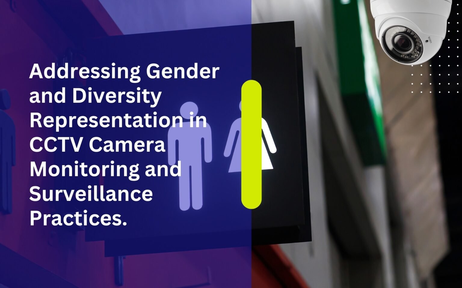 Addressing Gender and Diversity Representation in CCTV Camera ...